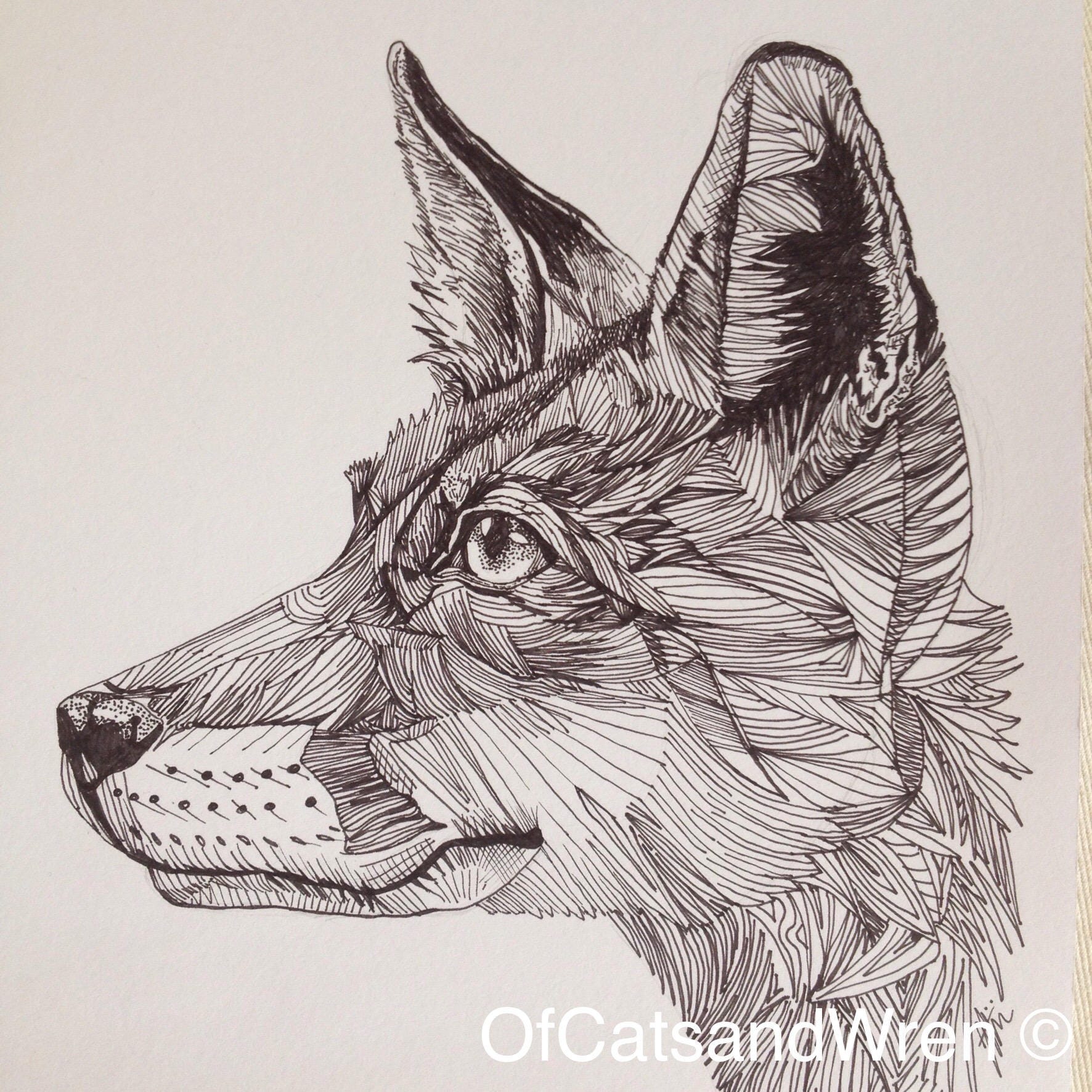 Fox Giclee Print From Original Pen and Ink Drawing Signed - Etsy UK