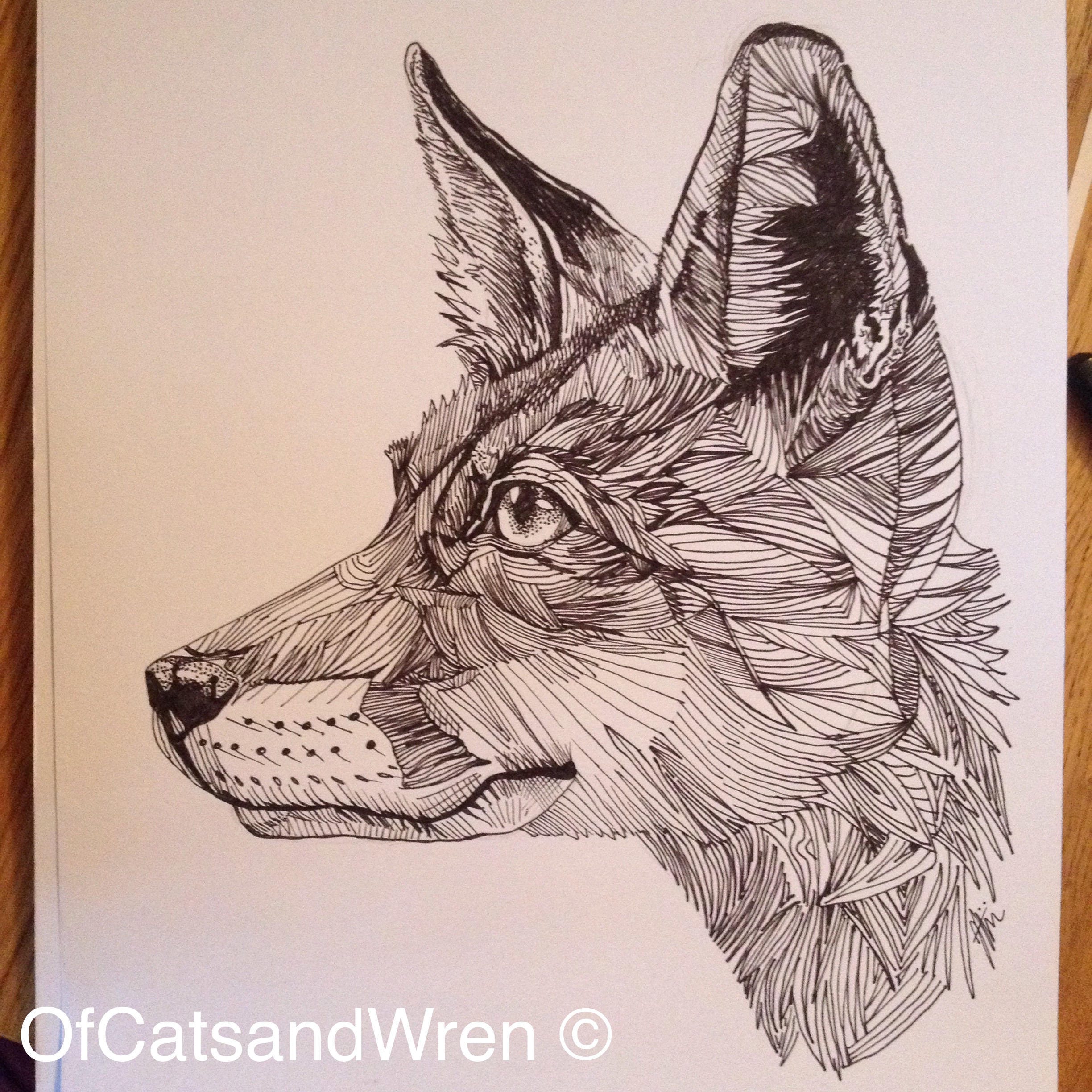 Fox Giclee Print From Original Pen and Ink Drawing Signed - Etsy UK