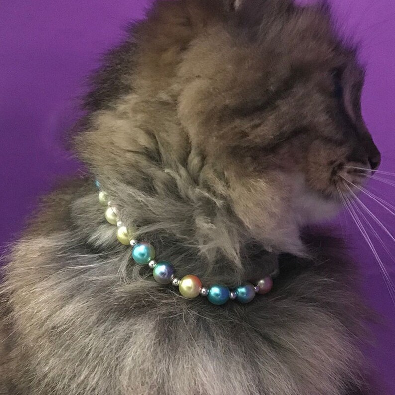 Pearl Cat Collar Pet Collar With Magnetic Safety Clasp - Etsy