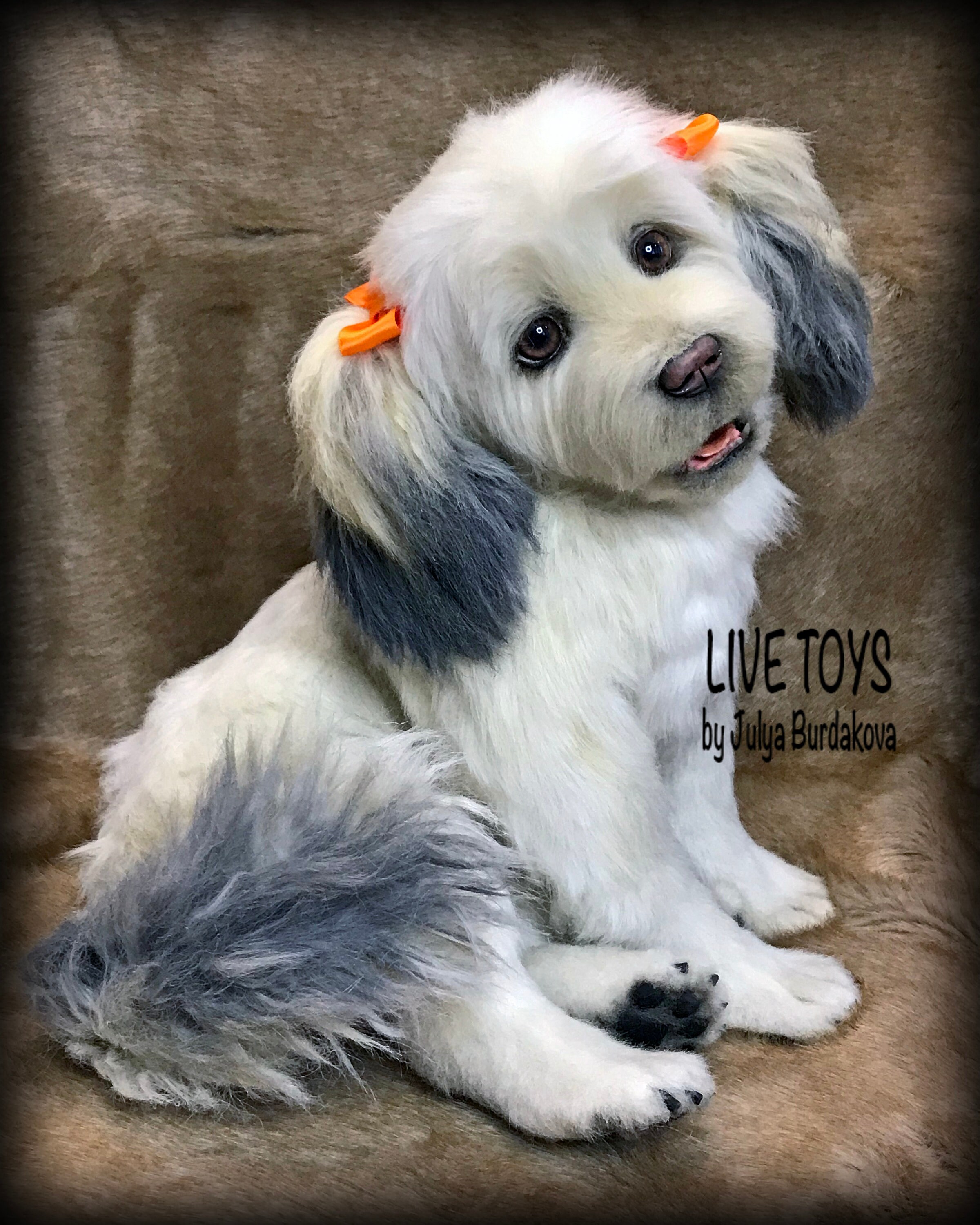 Lhasa Apso Realistic Stuffed dog Photo Portrait Pet Replica | Etsy