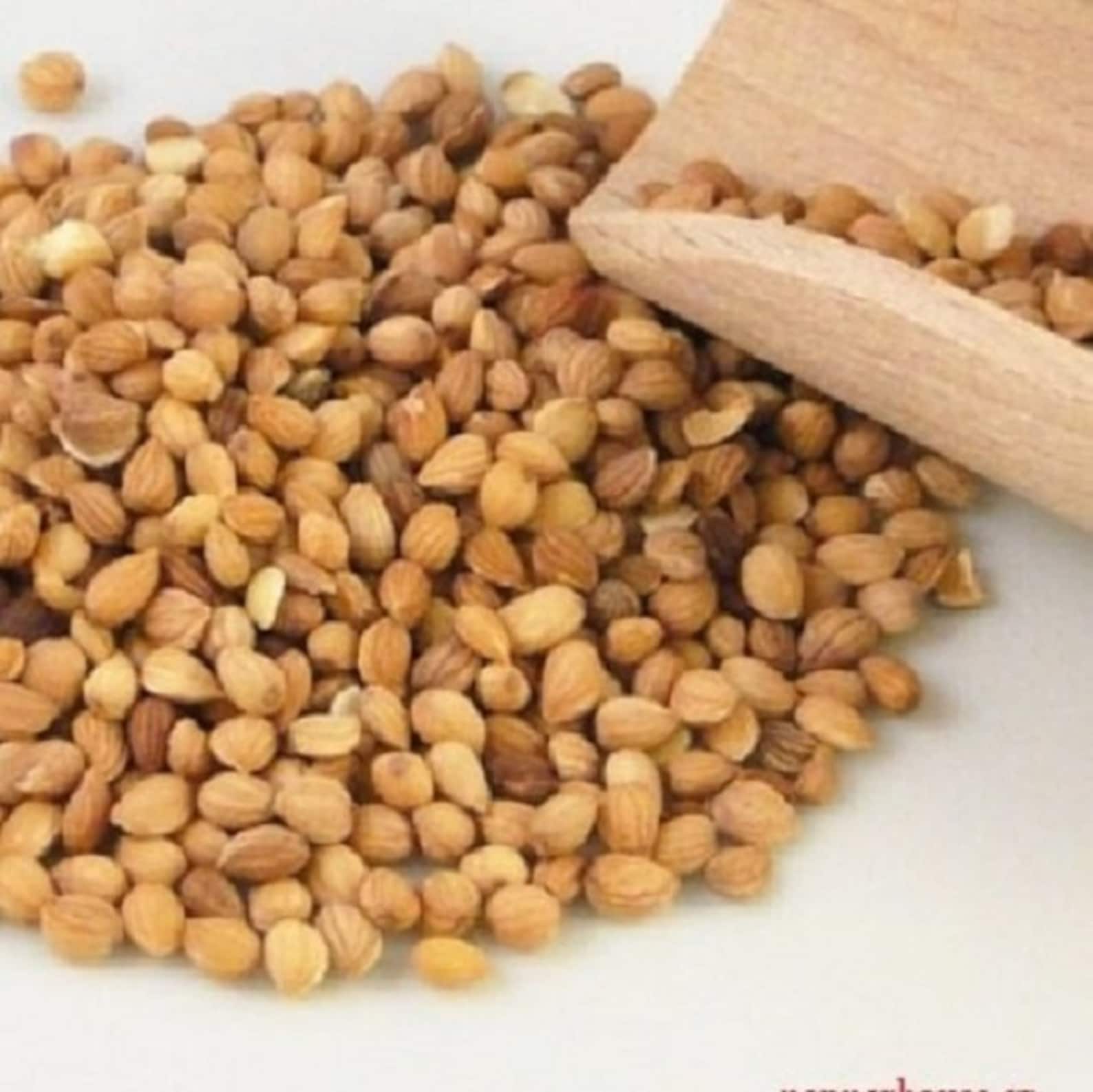 Mahlep,mahlepi, Mahleb, Mahlab Seeds Traditional Spice for Sweet Foods ...