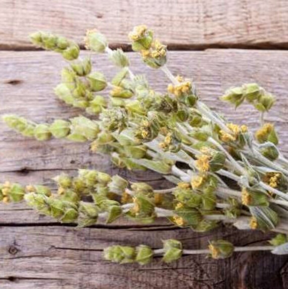 Greek Organic Mountain Tea, Mount Olympus,whole Loose Herbal Tea ...