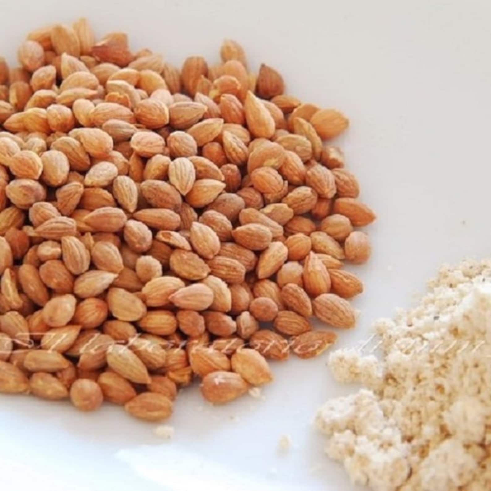 Mahlep,mahlepi, Mahleb, Mahlab Seeds Traditional Spice for Sweet Foods ...