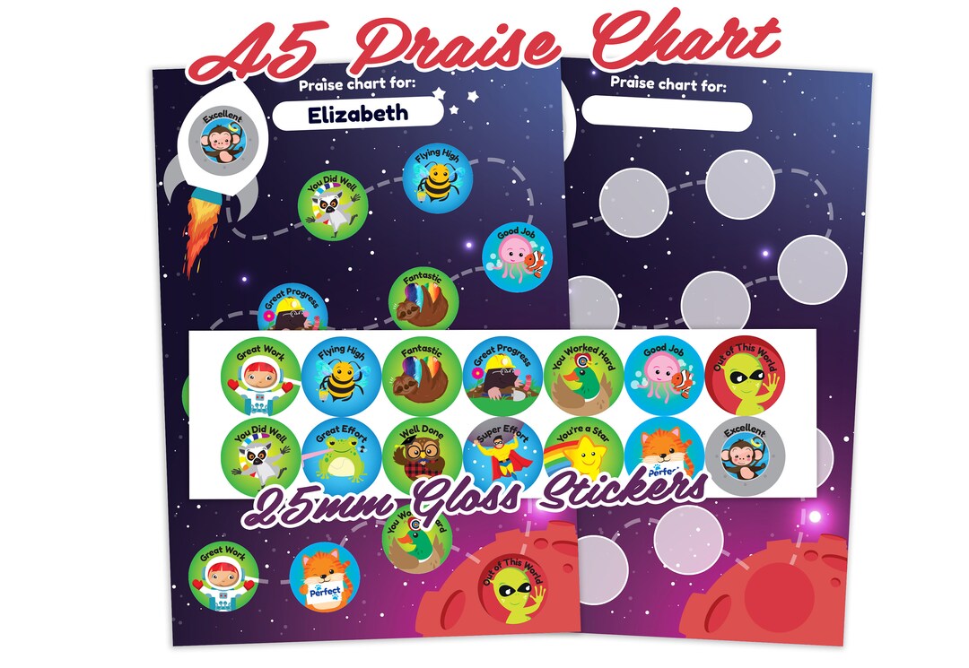 A5 Personalised Praise Chart With 14 X 25mm Glossy Stickers for ...