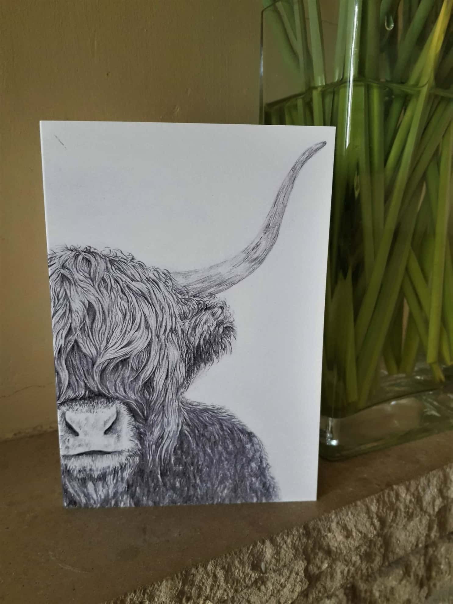 Highland Coo Blank Card. Print of Original Pencil Drawing by - Etsy ...