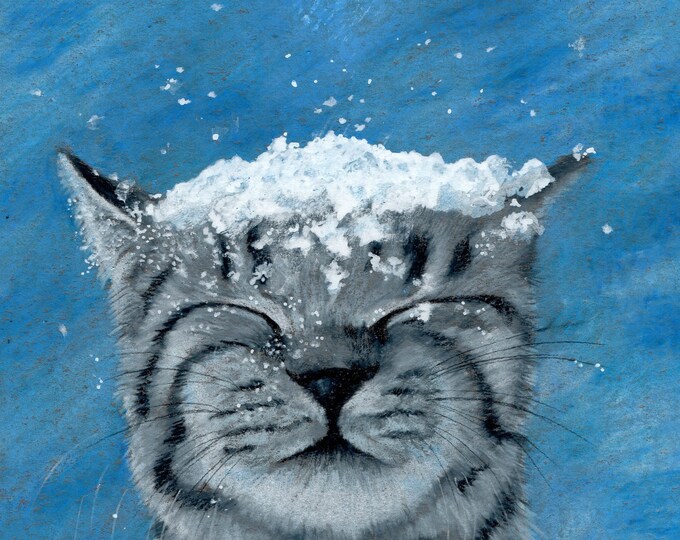 Cat With Snow on Its Head Blank Card. Print of Original Drawing by ...