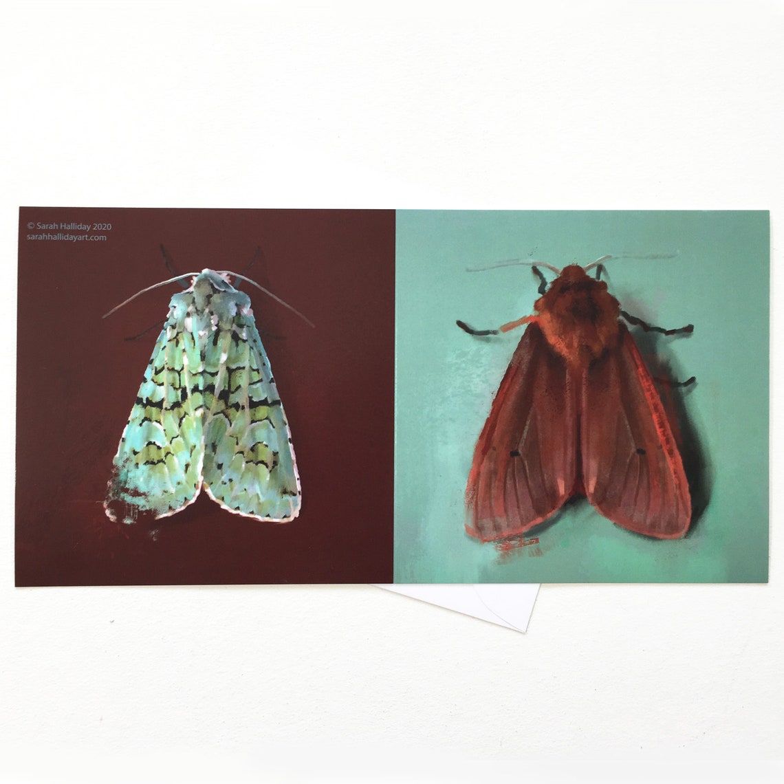 Moth Greeting Card Moth Thank You Card Butterfly Bug Card Red Ruby Moth ...