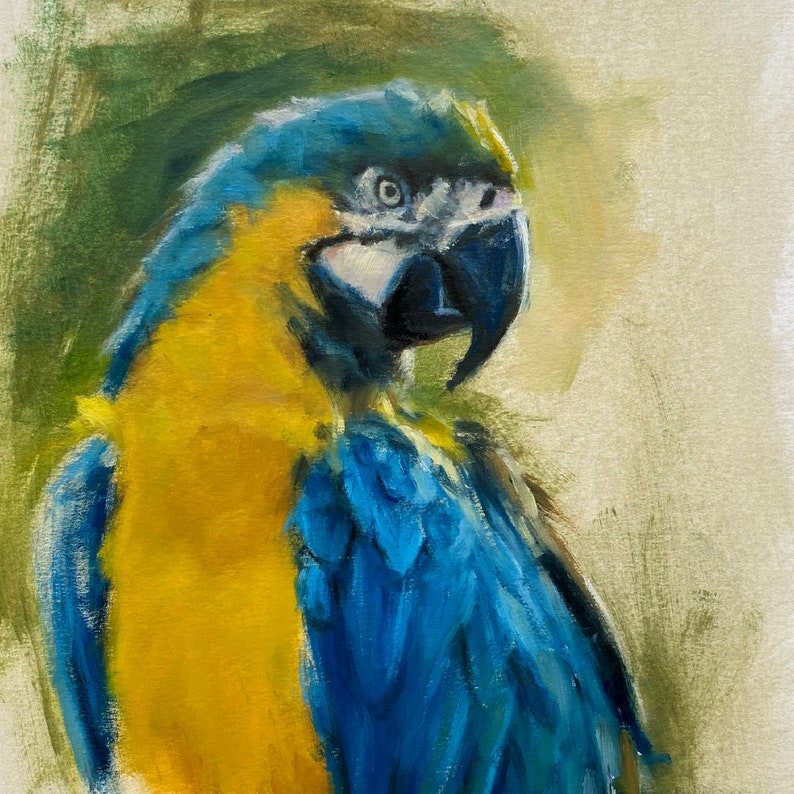Macaw Parrot Painting Original Oil Painting Bird Lover Gifts - Etsy