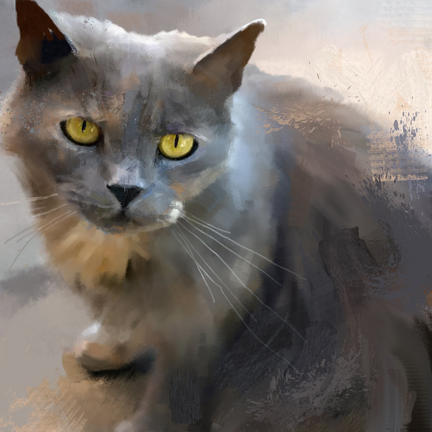 Grey Cat Print Fine Art Giclee Print Grey and White Cat Lover - Etsy