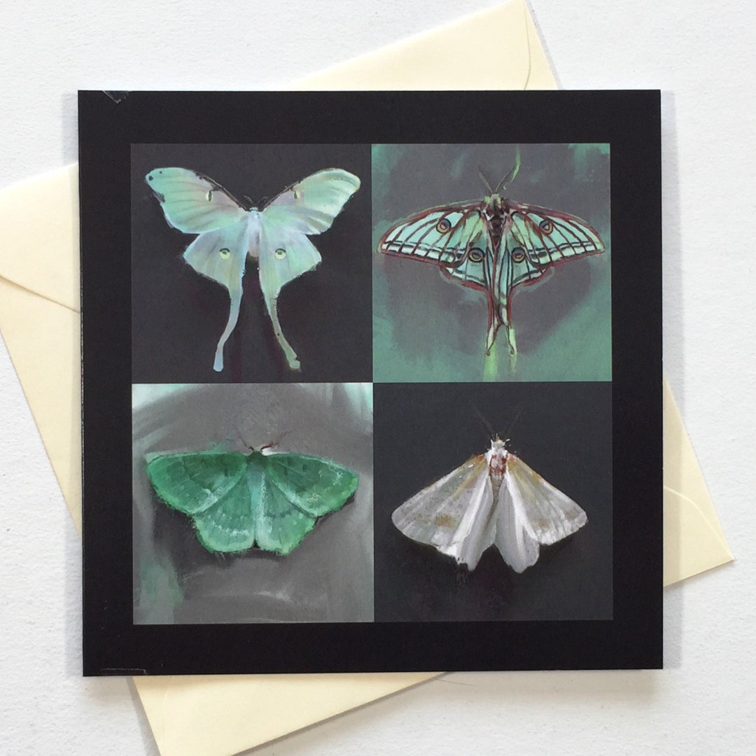 Moth Birthday Card Luna Moth Thank you Card Butterfly Card - Etsy Polska