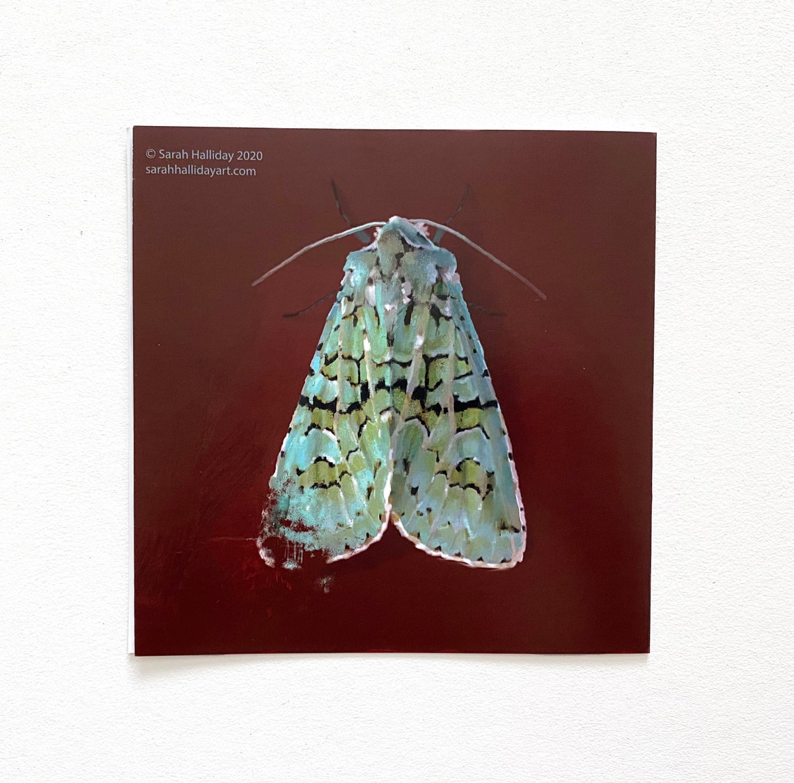 Moth Greeting Card Moth Thank you Card Butterfly Bug Card Red | Etsy