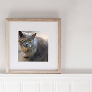 Grey Cat Print Fine Art Giclee Print Grey and White Cat Lover Gifts - Etsy