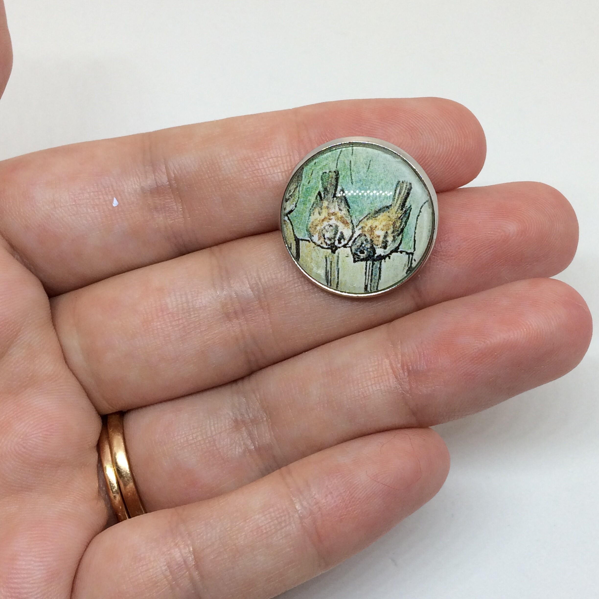 Sparrow Brooch from Peter Rabbit Beatrix Potter | Etsy