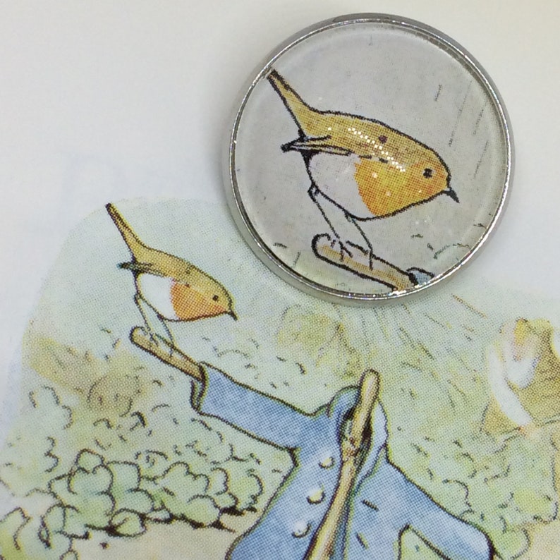 Robin Brooch From Peter Rabbit Beatrix Potter Illustration | Etsy UK