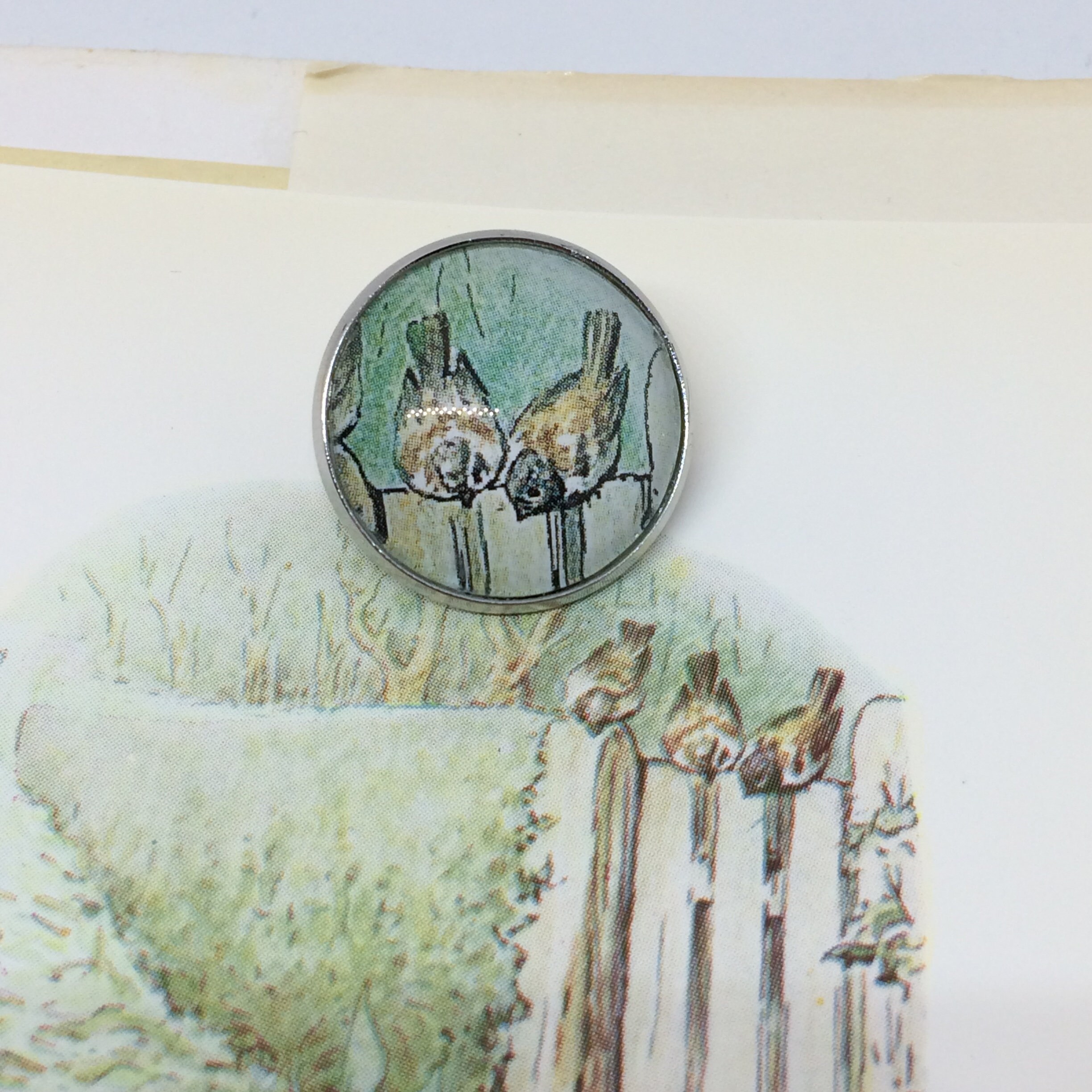 Sparrow Brooch from Peter Rabbit Beatrix Potter | Etsy