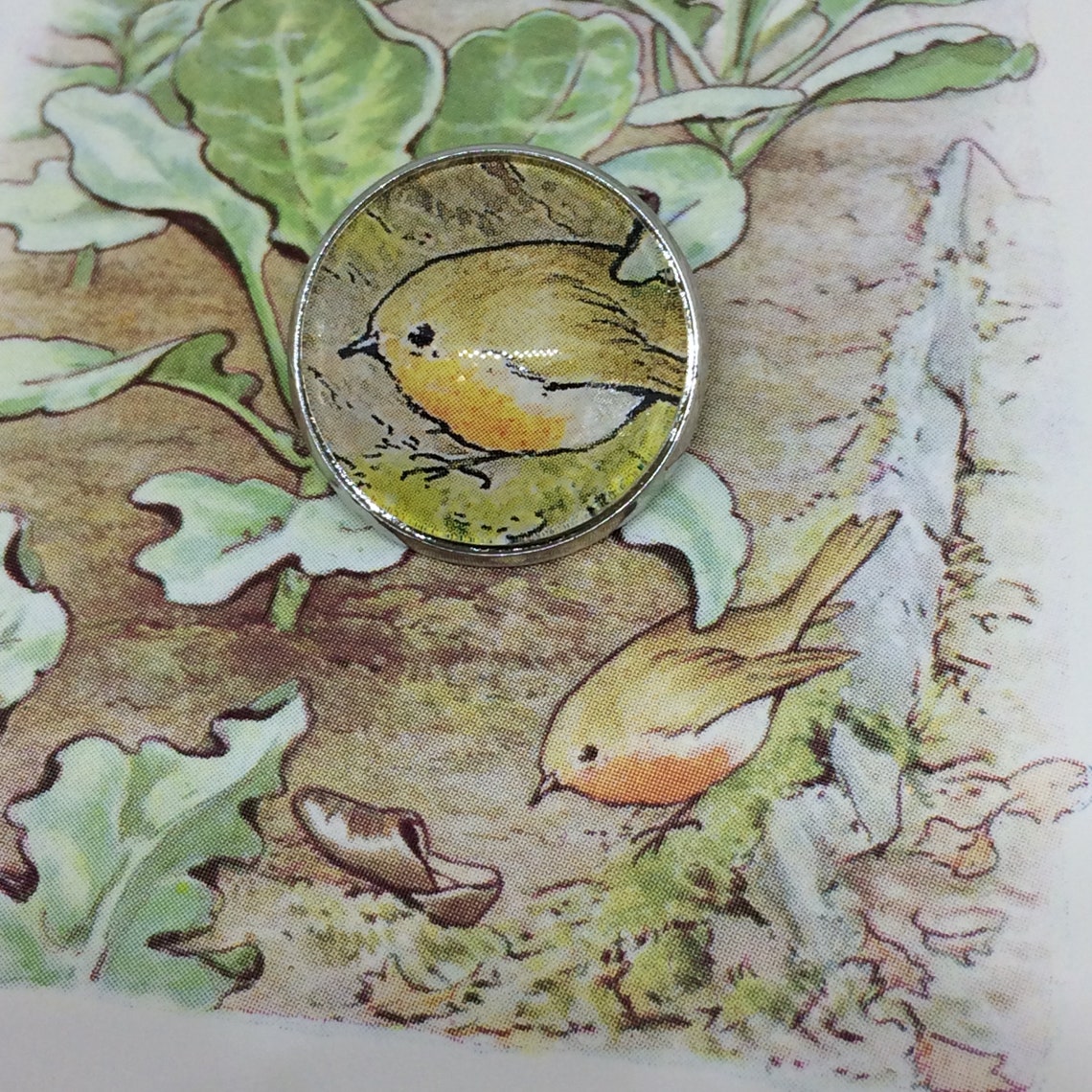 Robin Brooch From Peter Rabbit Beatrix Potter Illustration | Etsy UK
