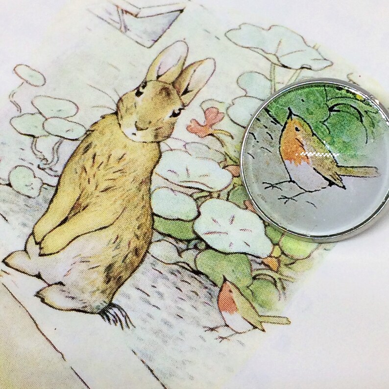 Robin Brooch From Peter Rabbit Beatrix Potter Illustration - Etsy UK