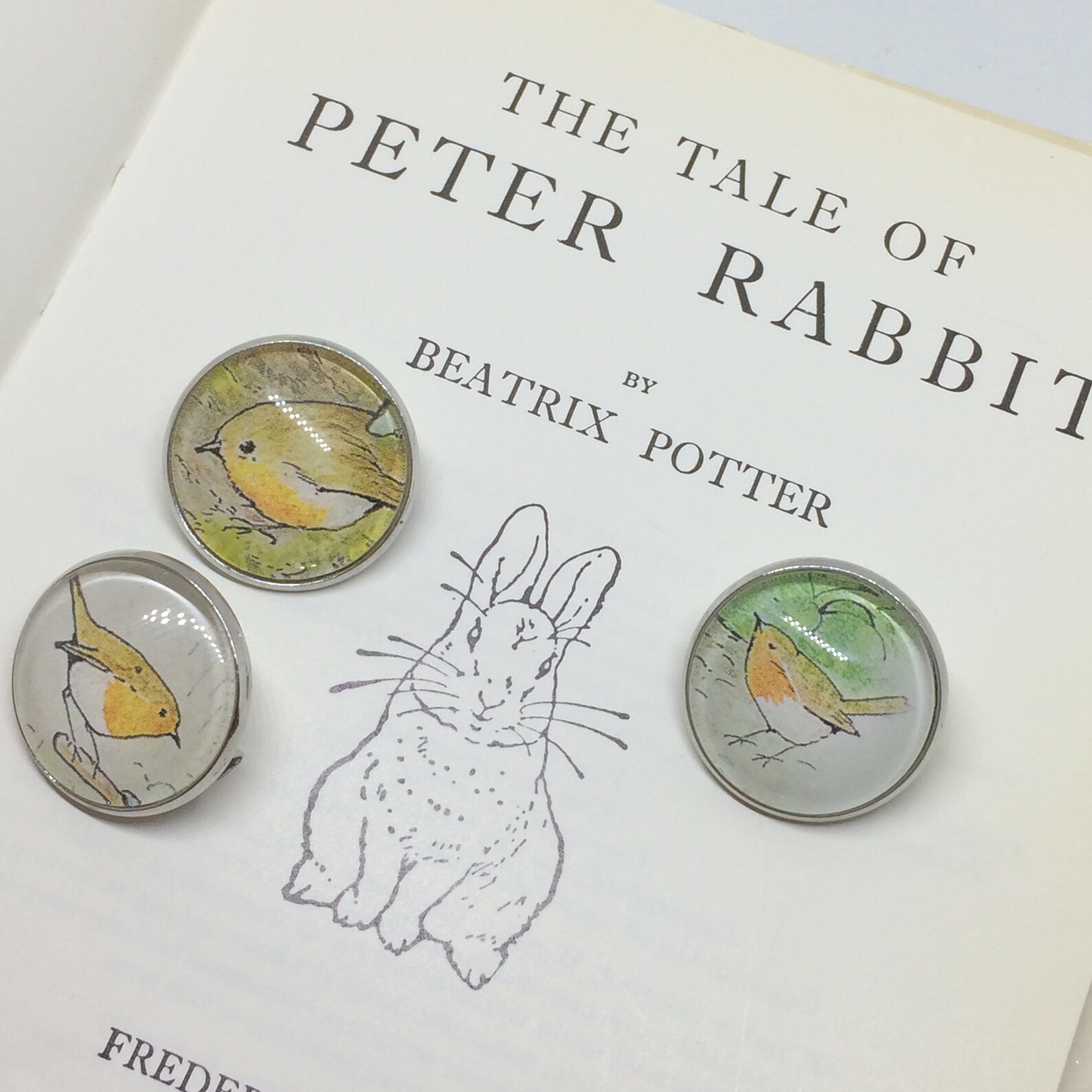 Robin Brooch From Peter Rabbit Beatrix Potter Illustration - Etsy UK