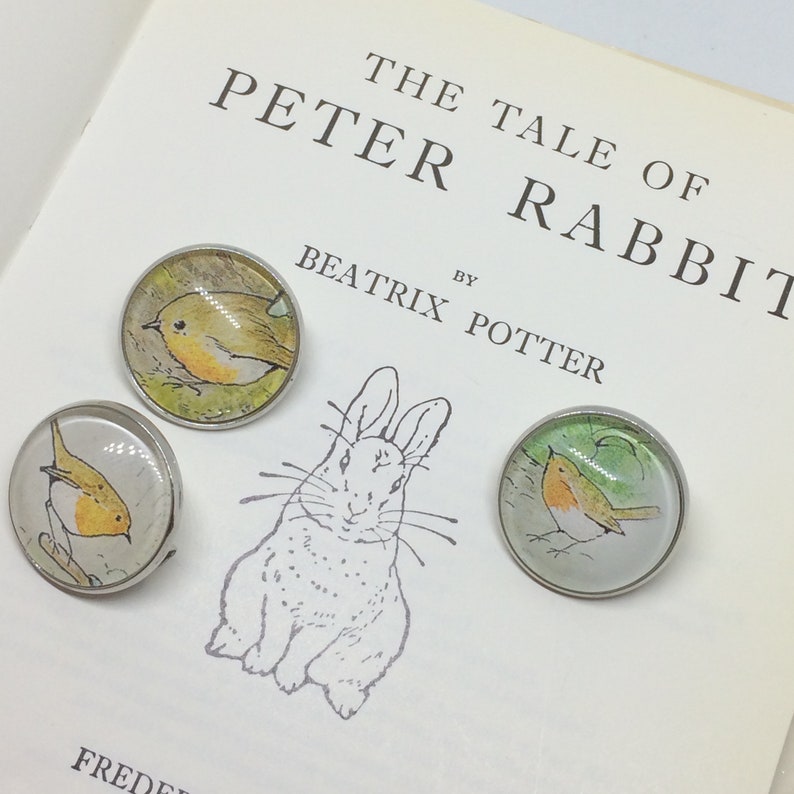Robin Brooch From Peter Rabbit Beatrix Potter Illustration - Etsy UK