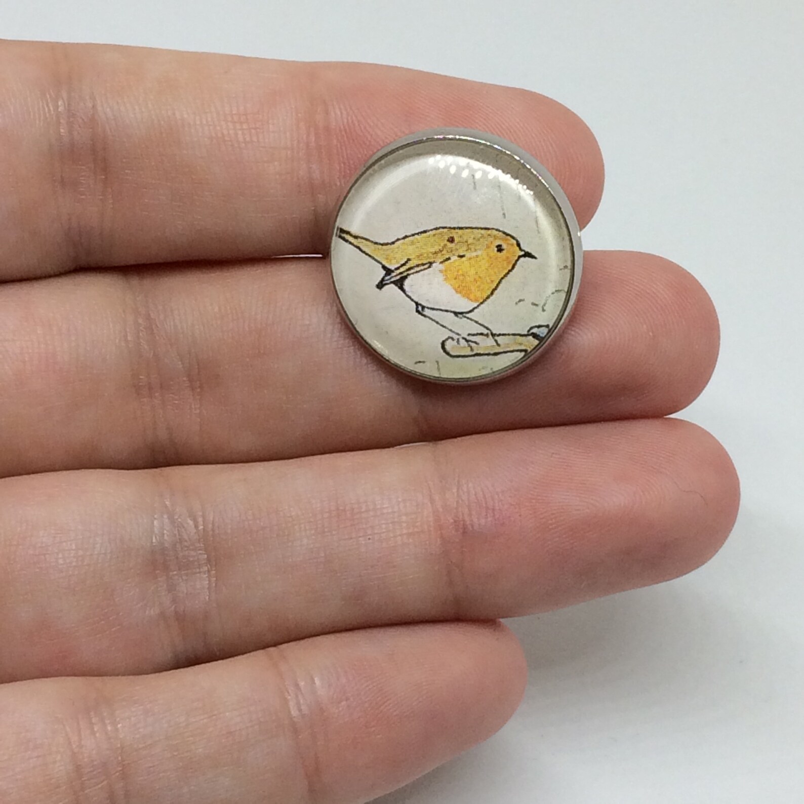 Robin Brooch From Peter Rabbit Beatrix Potter Illustration - Etsy UK