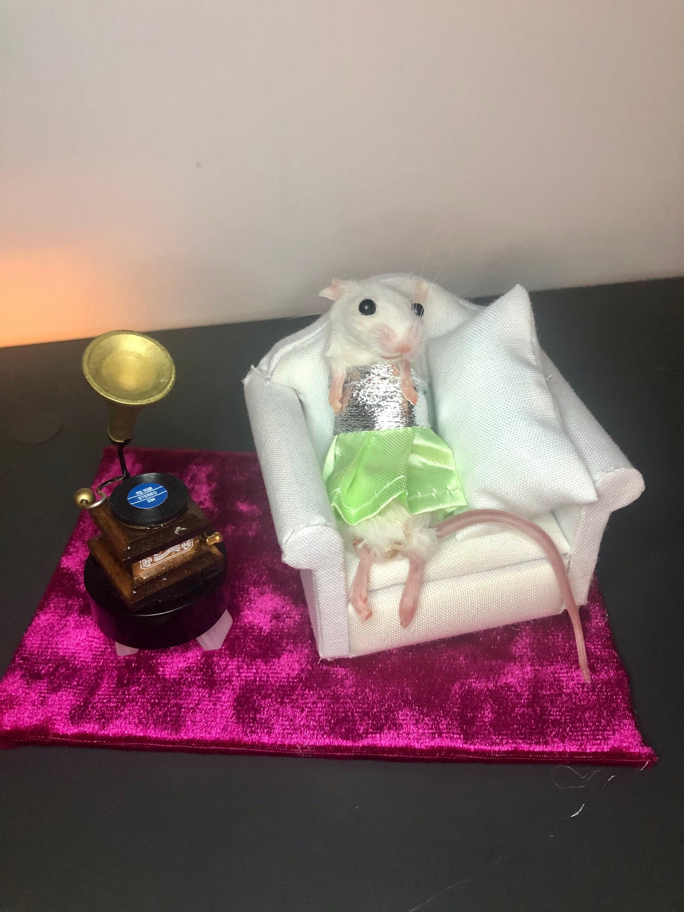 Taxidermy Mouse in Dress - Etsy