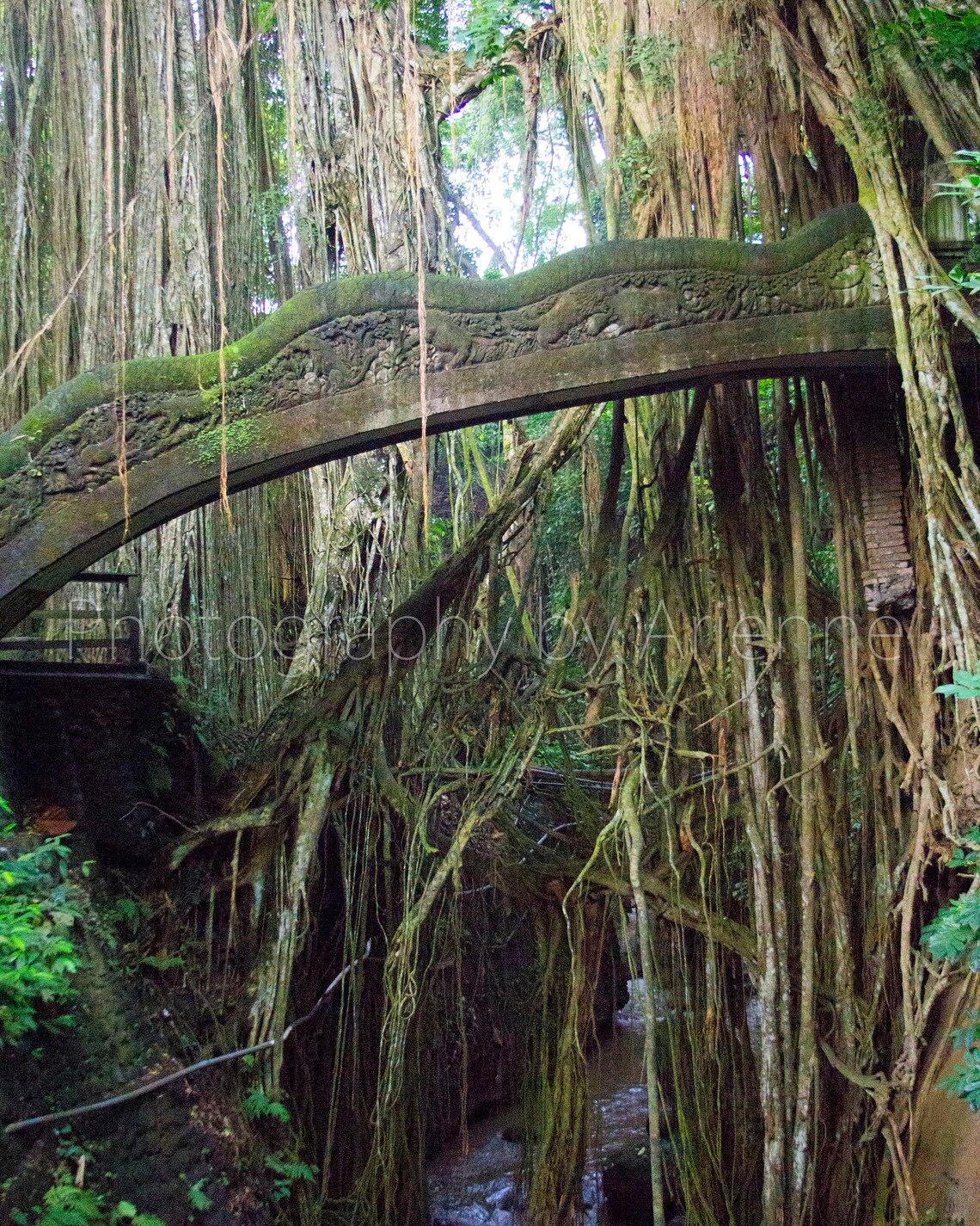 Snake Bridge - Etsy