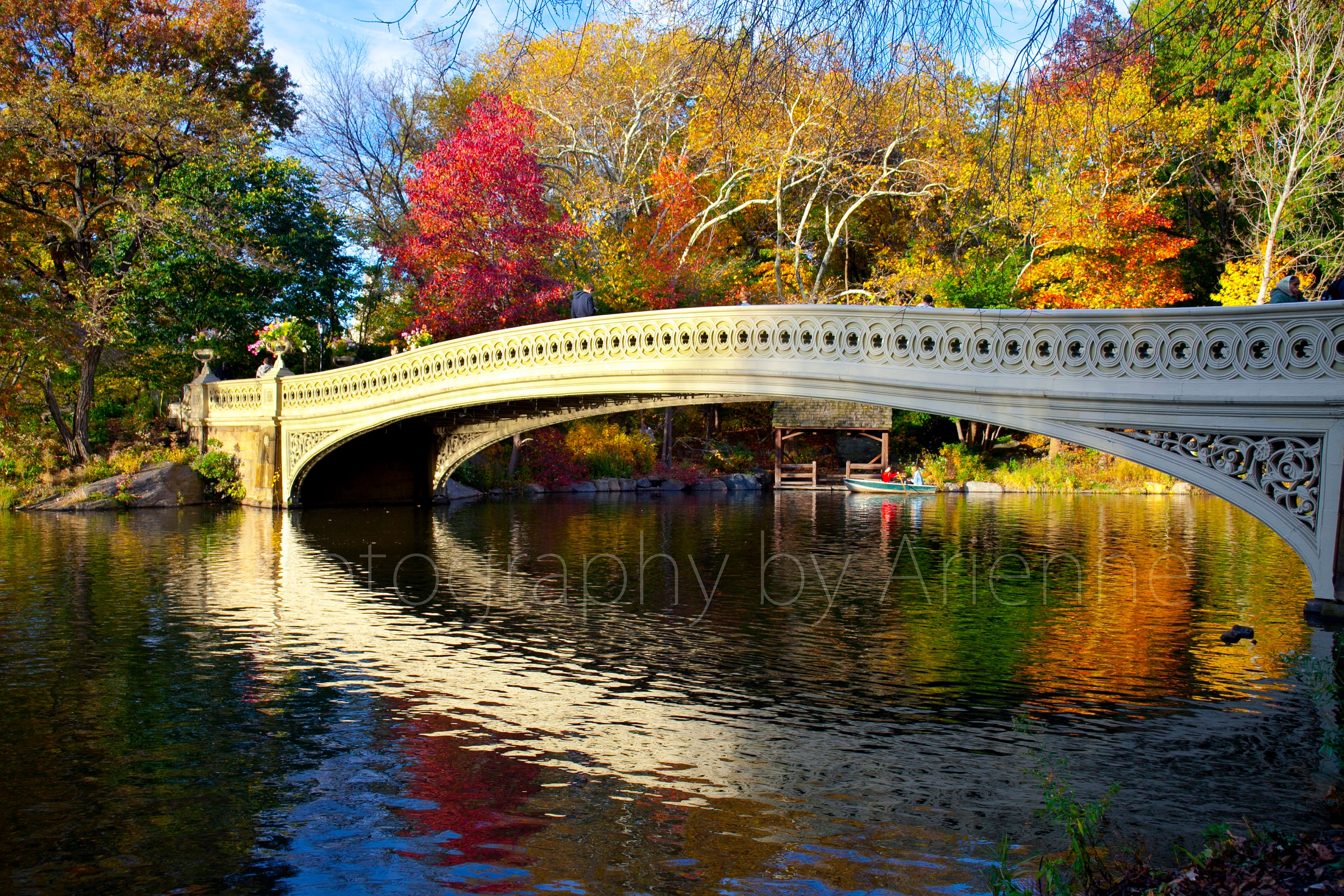 Bow Bridge in Autumn - Etsy