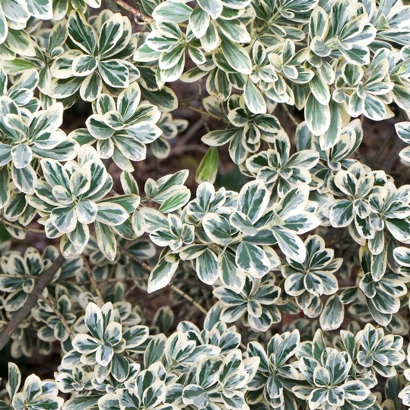 Utility Box Cover - Etsy