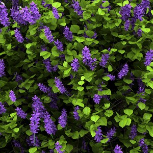 Single Sheets for Bush Wraps and Smaller Utility Boxes - Etsy