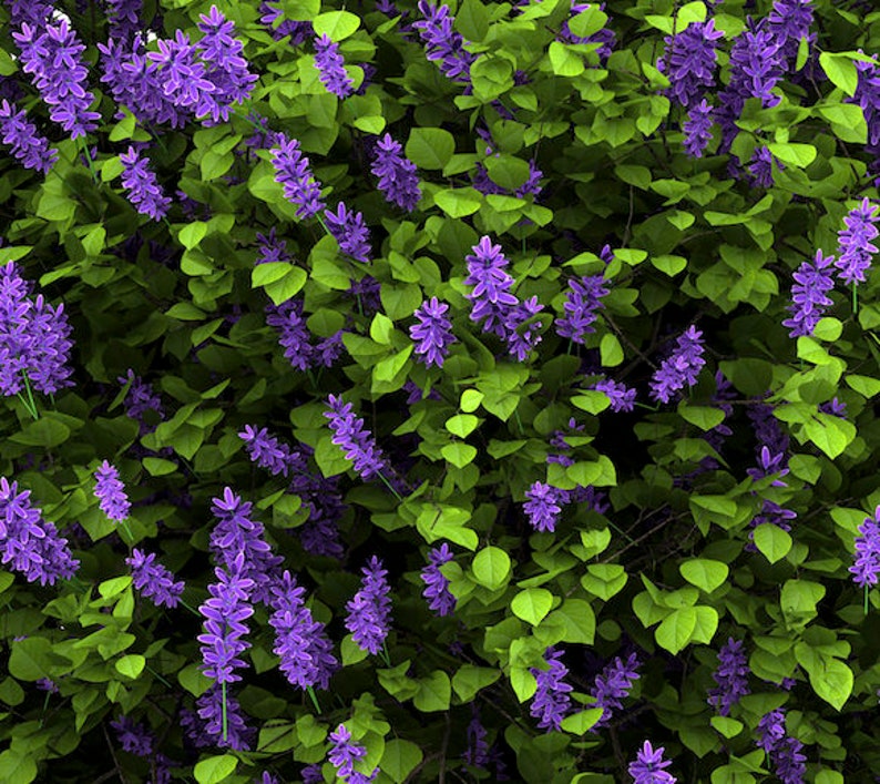 Single Sheets for Bush Wraps and Smaller Utility Boxes - Etsy