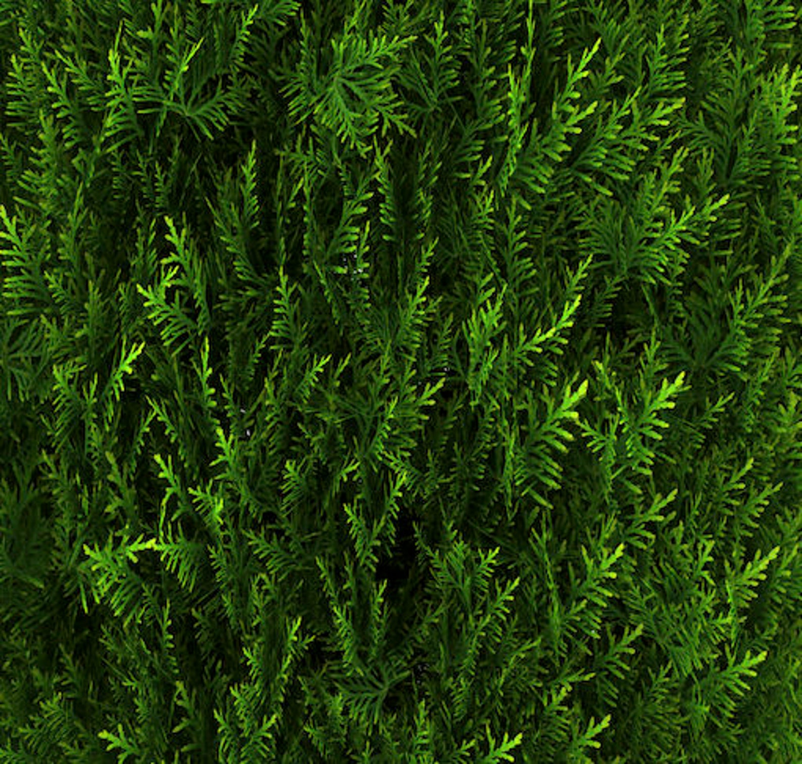 2024 - Hide That Utility Box With Our Bush Wrap ! - Etsy