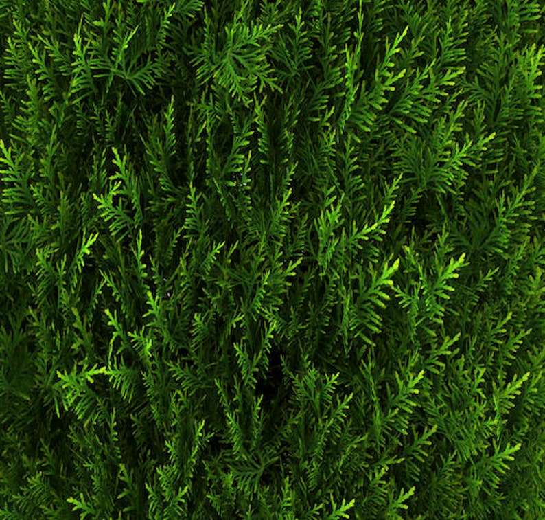 Single Sheets for Bush Wraps and Smaller Utility Boxes - Etsy