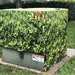 Hide That Utility Box With Our Bush Wrap - Etsy
