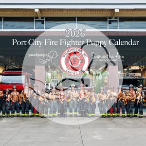 The Paw Print Calendar 2025 - Etsy