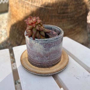 Upcycled Pottery Succulent H - Etsy