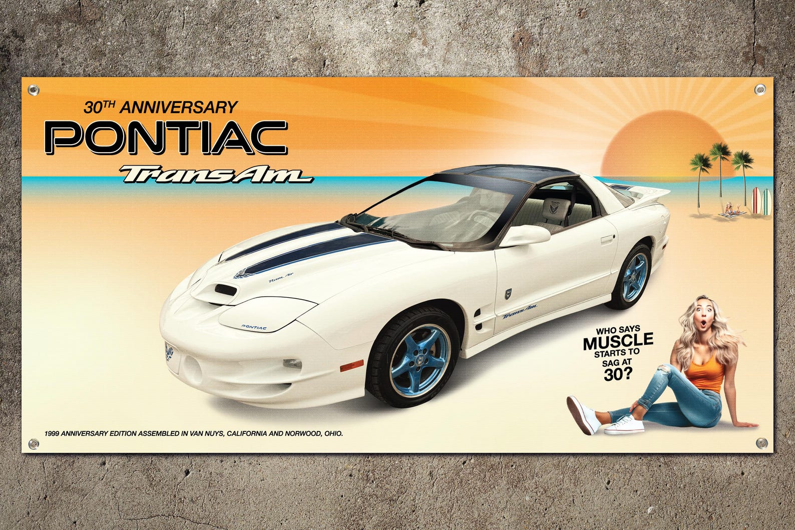 1999 30th Anniversary Pontiac Trans Am Garage Banner - Etsy