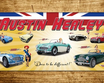 Custom Austin Healey 100/6 Garage Banner 2ft X 4ft | Etsy