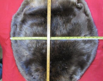 Professionally Tanned Bobcat Pelt Open With Feet, Claws Animal Skin ...