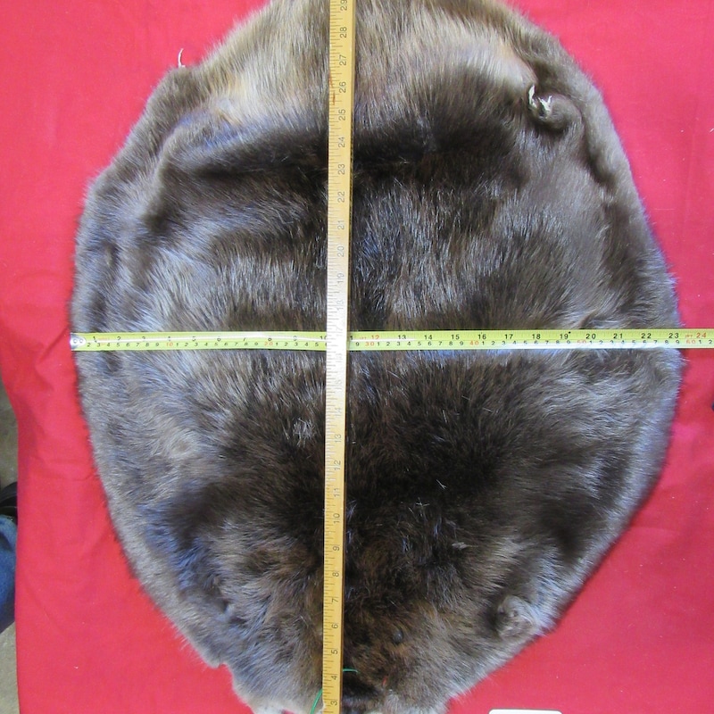Beaver Pelt - Etsy