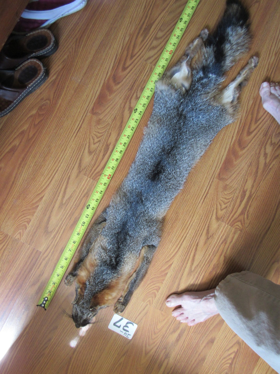 Tanned Grey Fox With Feet Claws Animal Hide Winter Fur Good Leather - Etsy