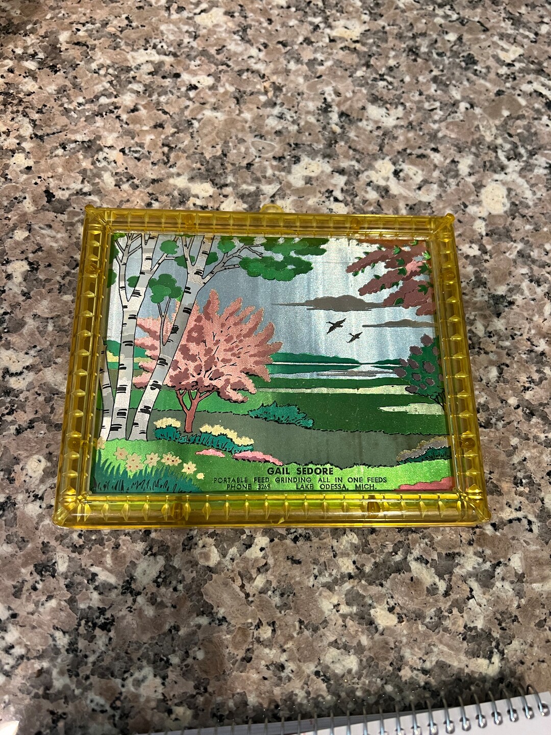 Vintage Plastic Framed Chromatic Art Print by Gail Sedore ( Lake Odessa ...