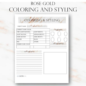 Rose Gold Hair Stylist Printable Business Forms, Hair Stylist Client ...