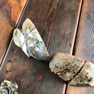 Red Rust Agate Natural Edge Microcrystalline Quartz Premium Bookends ...