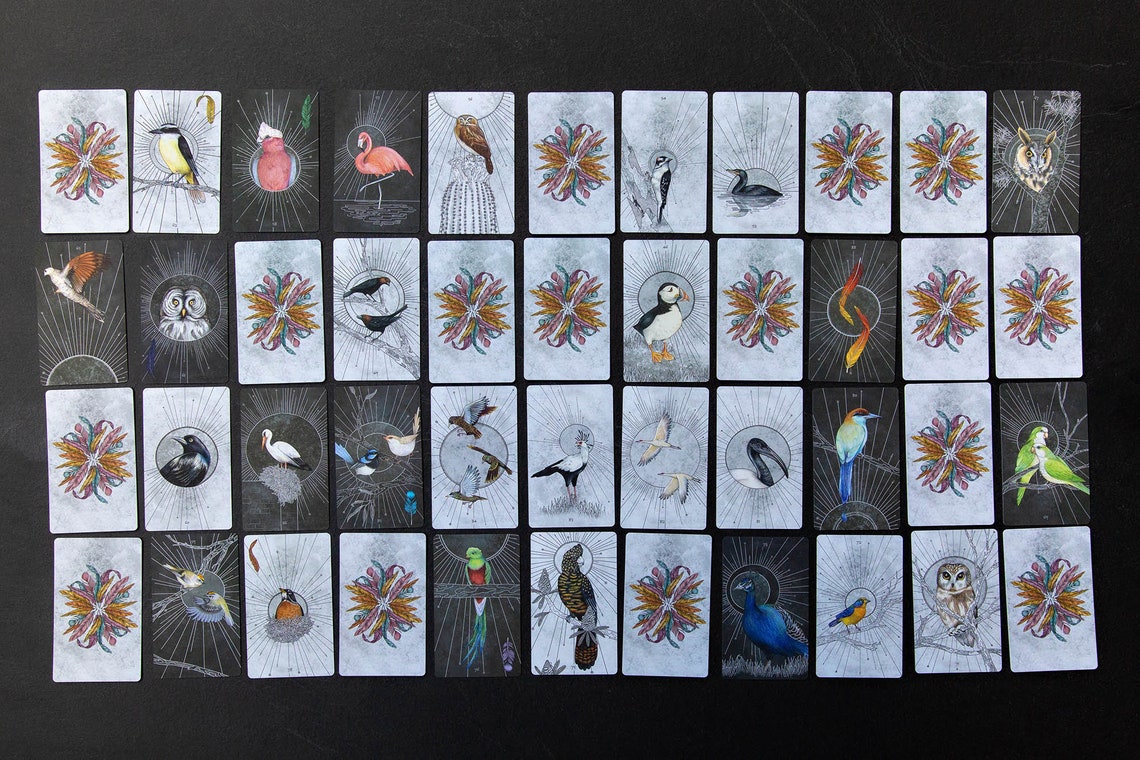 Birds Oracle Deck 2 - Etsy Australia