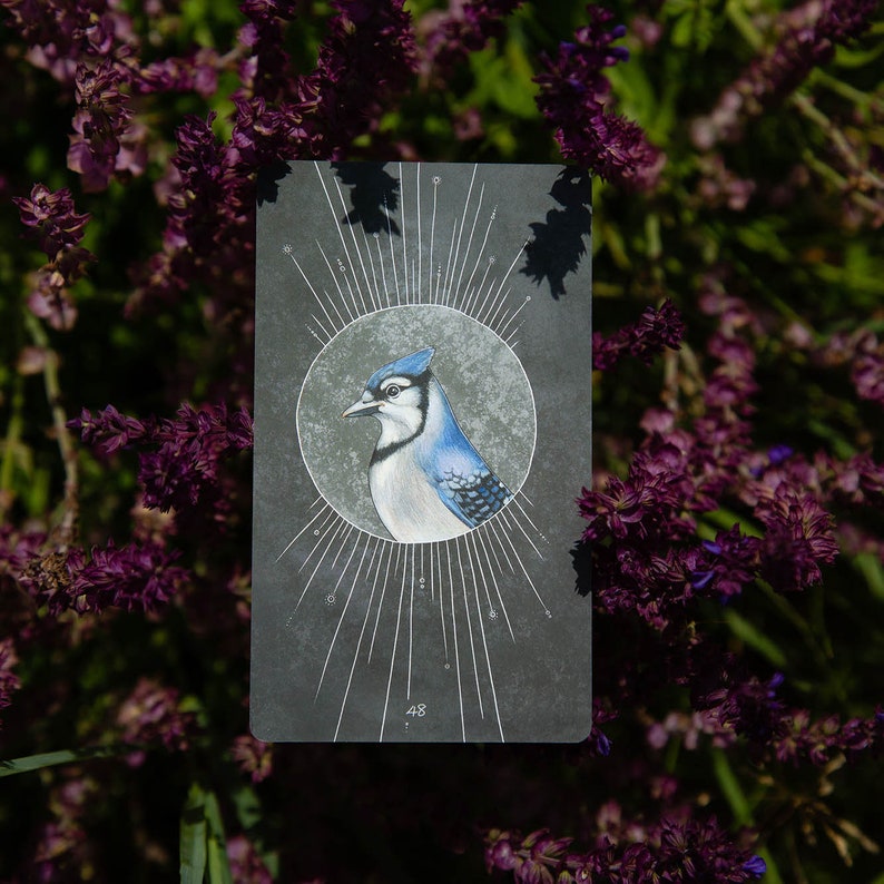 Birds Oracle Deck 2 - Etsy