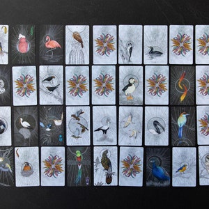 Birds Oracle Deck 2 WITH Additional Box - Etsy