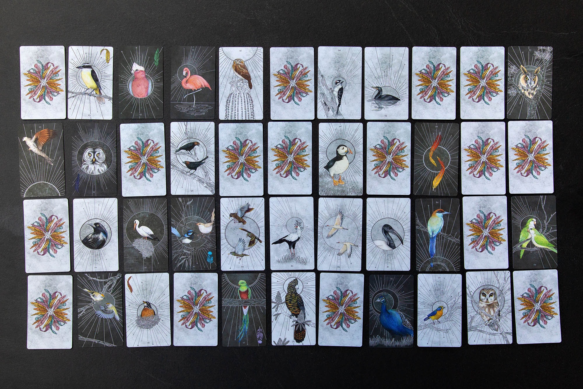 Birds Oracle Deck 2 WITH Additional Box | Etsy