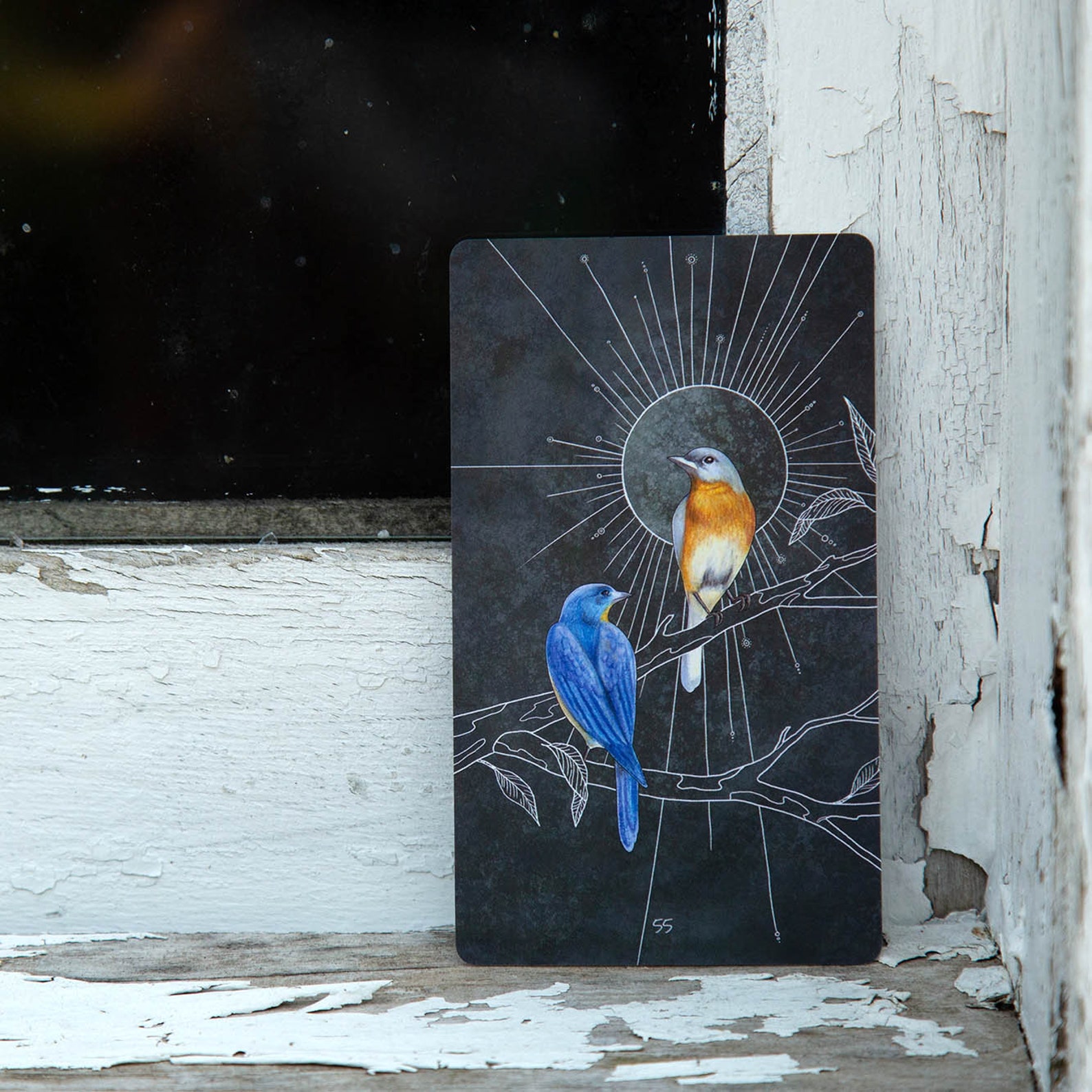 Birds Oracle Deck 2 - Etsy