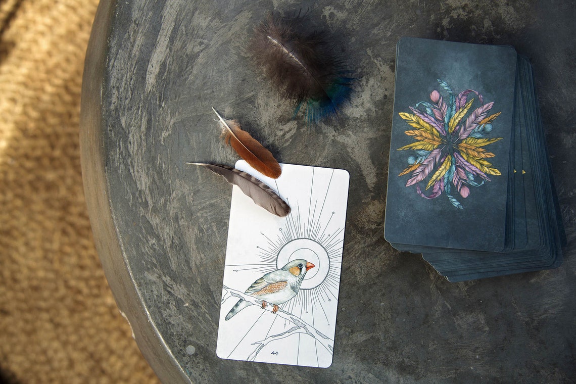 Birds Oracle Deck Reset Journey (online Course) - Etsy