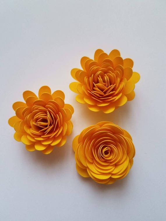 Rolled Paper Flower Shadow Box | Best Flower Site